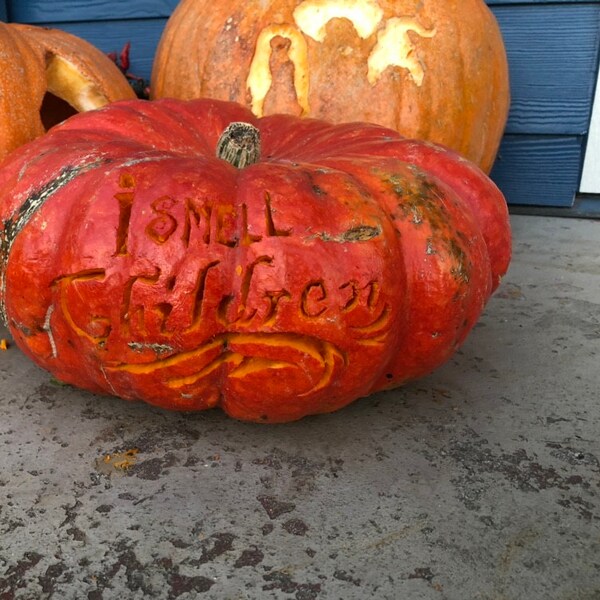 Hocus Pocus Pumpkin Carving Patterns - Printable PDF - Etsy