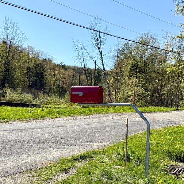 Snowplow and Vandal Resistant 48" Long Arm Swing Away and Return to ...