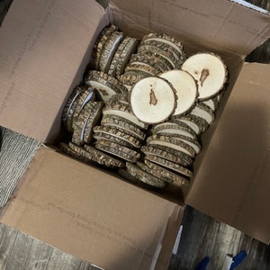 Set of 3 Southern Pine Wood Rounds - Etsy