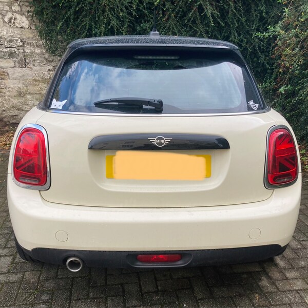 Peeping Cat Vinyl Car Window, Bodywork, Bumper Sticker Label Decal ...