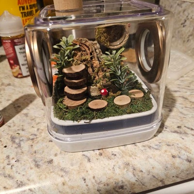 Jumping Spider Enclosure 5x5x9 Spider House, Spider Tank, Spider ...