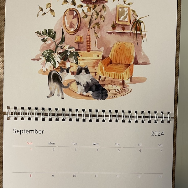 Cats and Plants 2024-2025 Mid-year Student Academic Desk Calendars ...
