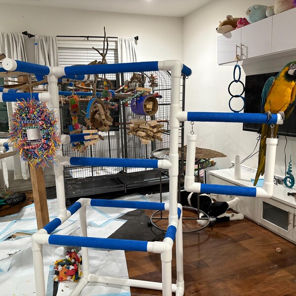 25 Closed Bird Leg Bands Aluminum Custom Laser Engraved in USA - Etsy