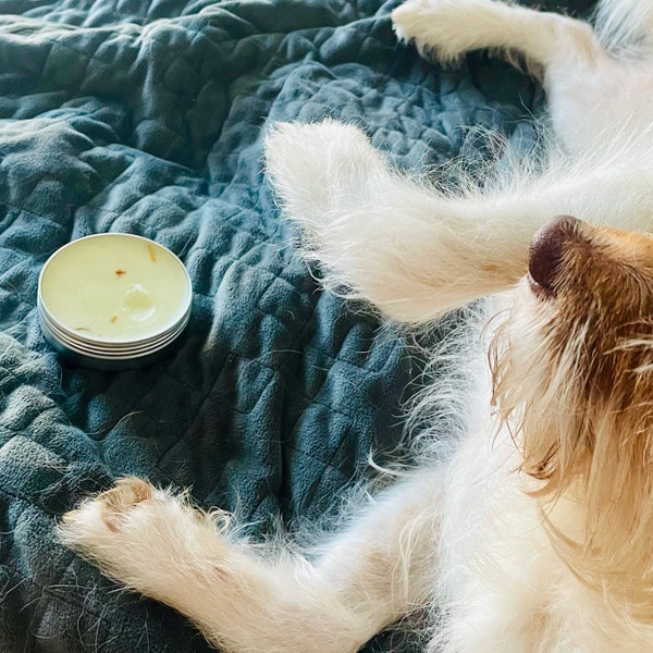 Calendula Dog Paw Balm, Paw Pad Care, Pet Wellness Supplies, Dog ...