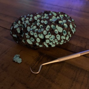 Picky Party Fully Covered Caribbean Blue Sensory Picking Stone - Etsy