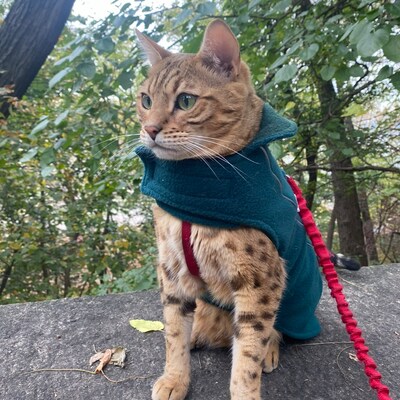 WARM CAT JACKET, Polar Fleece Cat Jacket, Warm Cat Clothes, Winter ...