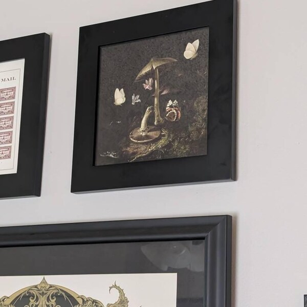 Brünnhilde, Valkyrie Cat Photograph, Antique Vintage Cat Photo Print ...