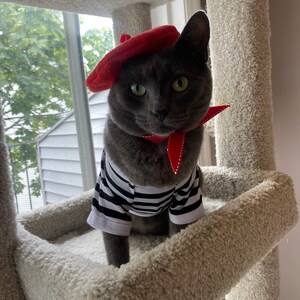 Complete French Cat Outfit Cat Beret Ascot and Striped Shirt - Etsy