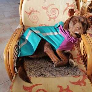 Grab Traffic Handle Lead 2 Colour Waterproof Biothane Dog Lead With ...