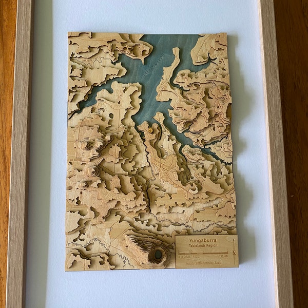 Georgia 3D Carved Wooden Topographic State Map Art Framed USA - Etsy