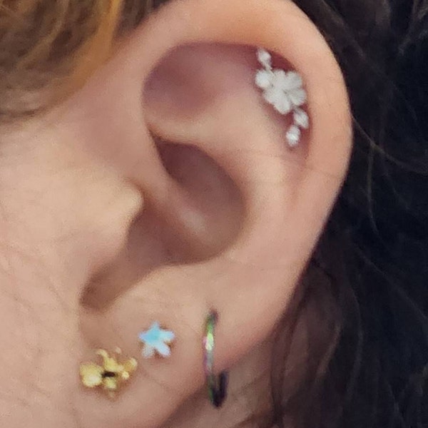 Shell Flower Cartilage Earring Tragus Stud Jewelry Helix Earring Tiny ...