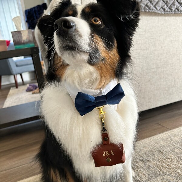 Pet Proposal Ring Pouch With Personalization, Pet Ring Carrier for ...