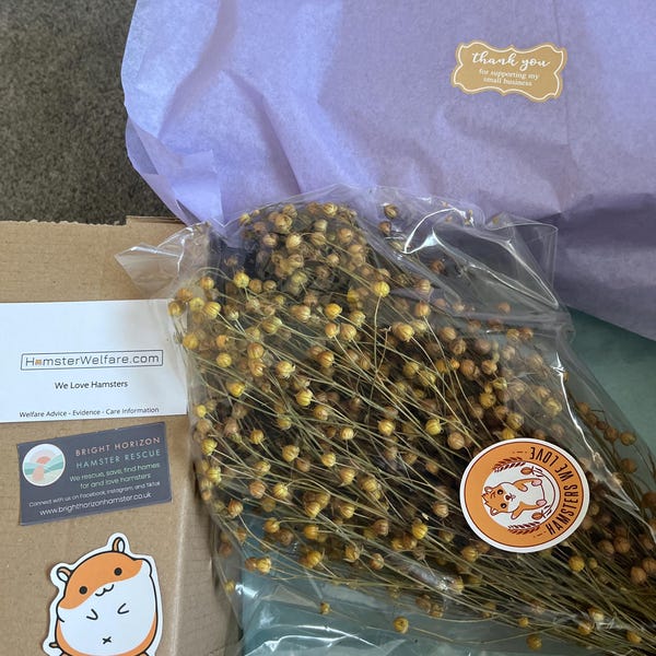 Flax Spray, Dried Flax Stems, Hamster Flax, Bird Flax, Hamster Flax ...