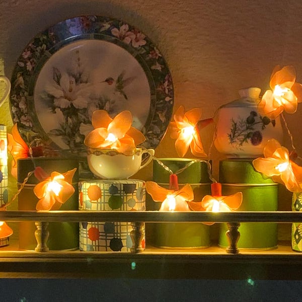Pink Lily Fairy Lights – Romantic Bedroom and Balcony String Lights ...