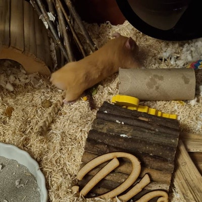 Personalised Script Names Words & Letters Wooden Christmas High Quality ...