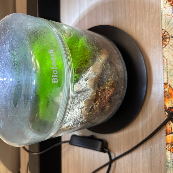 Bio Bottles Emerald Garden Mini Desktop Terrarium (bubble Cup Set ...