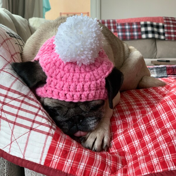 Chewies Piggy Dog Hat; Crochet Pig Hat; Piglet Pug Hat; Hats for Dogs ...