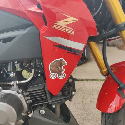 Grizzly Bear Vinyl Nature Sticker, Waterproof Vinyl Forest Lover ...