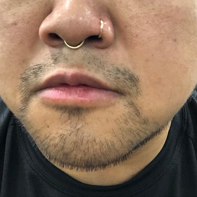 Septum Hoop, Gold Septum Hoop, Septum Ring, Seamless Gold Septum, Nose ...