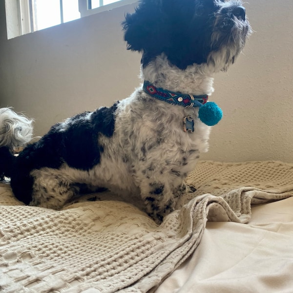 SMALL Mexican Pet Collar - Leather Dog Collar, Tribal Dog Dollar ...