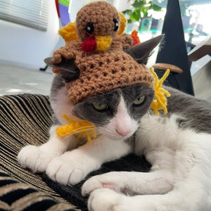 Thanksgiving Turkey Hat for Cats Funny Turkey Cat Hat With - Etsy