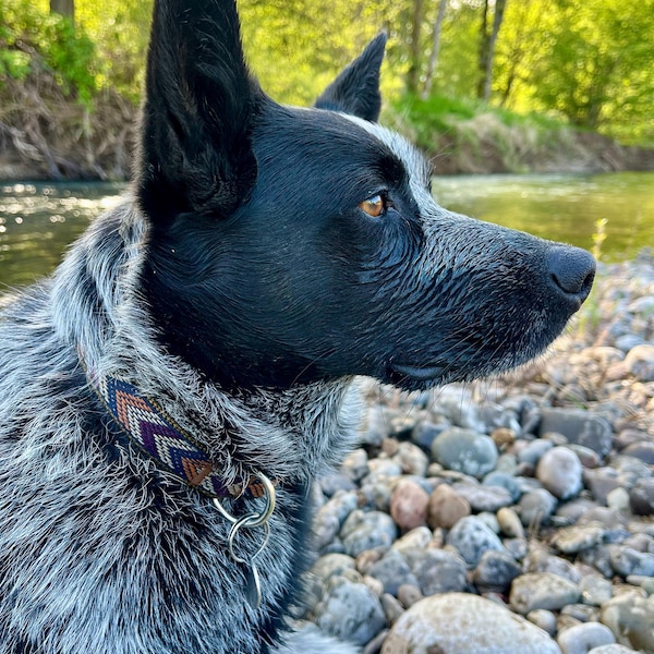 UGLY Bells for Pet Collar Chipped Jingle Bell for Cat Collar Character ...