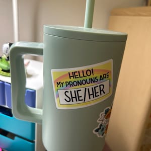 SHE/HER Name-tag Sticker - Etsy