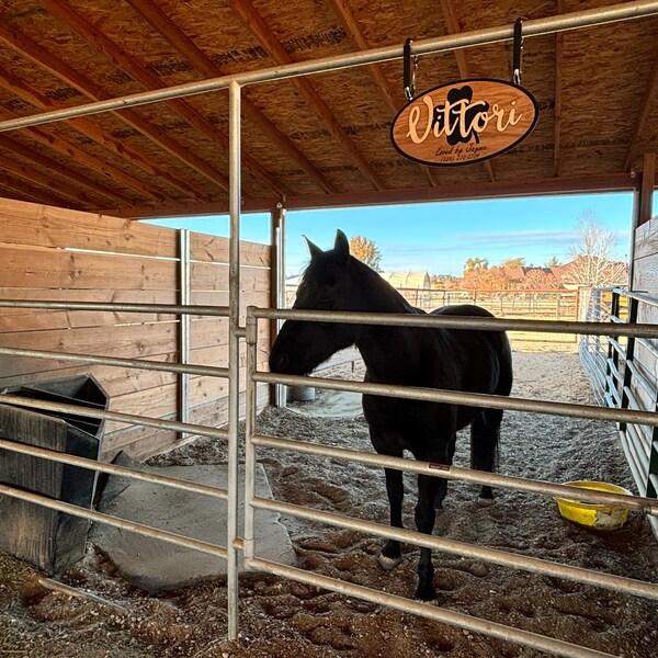 Personalized Horse Stable Sign. Horse Stall Plaque. Custom Barn Stall ...