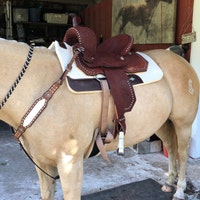Chocolate & White Tack Set, USA Made, Buckstitch Tack, Handmade, Herman ...