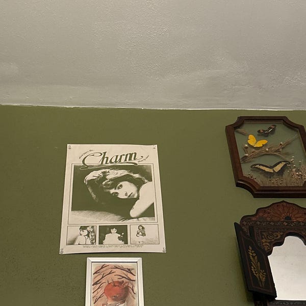 Clairo Charm Album Cover Tracklist Poster // 11 X 17 In, Music Poster ...