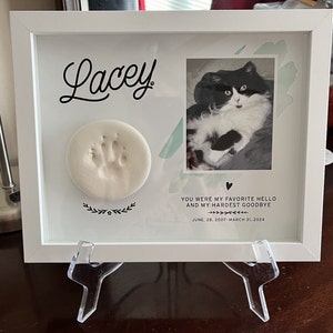 Pet Memorial Paw Print Holder Shadow Box, Two Paw Prints, Pet Loss ...