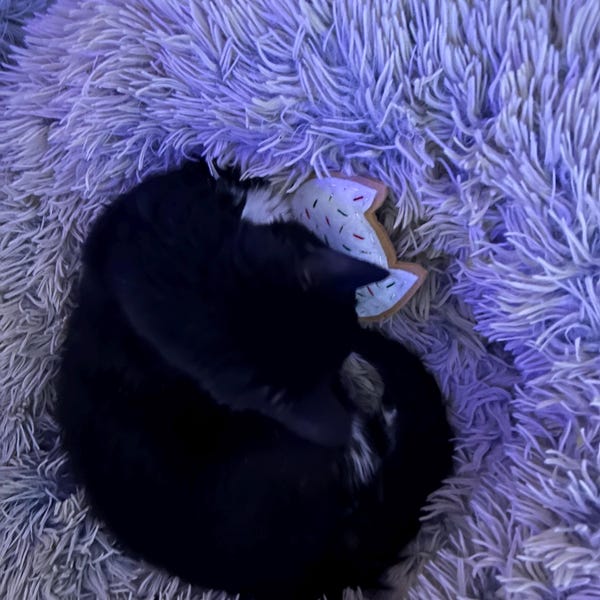 Kuchi Kopi Catnip Toy bobs Burgers - Etsy