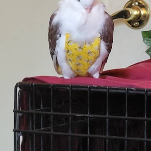 Leashes for Chicken / Duck Diapers - Etsy