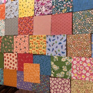 Daisy a Day Quilt Pattern Beverly Mccullough for Flamingo Toes Ziplock ...