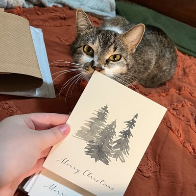 Set of 8 Wildflower Field Note Cards, Recycled Blank Greeting Cards ...