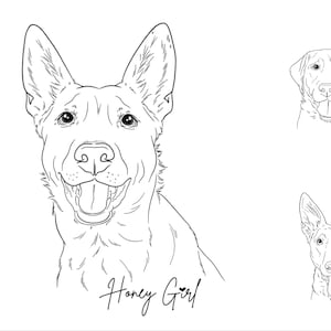 Dog Outline, Custom Line Drawing, Pet Portrait Full Body, Inked Line ...