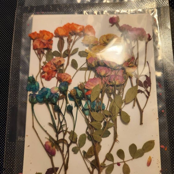 12pcs Pressed Dried Mini Rose Buds With Stems,ready to Ship, Pressed ...