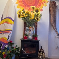 Rice Pattern Plates Set - Etsy