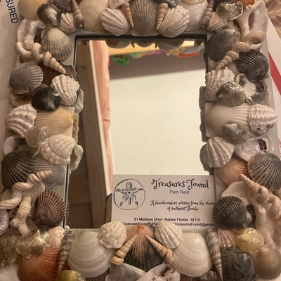 Spiny Jewel Box Shell Flowers - Etsy