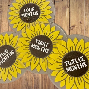 Dye Sublimation Round Foldable Fan With Case Mockup Add Your Own Image ...