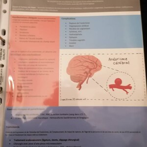 EN Lung Auscultation and Oxygen Therapy, Nursing Reference Cards ...