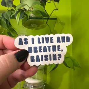 THE OFFICE Save Bandit Angela Sticker Vinyl Waterproof Sticker the ...