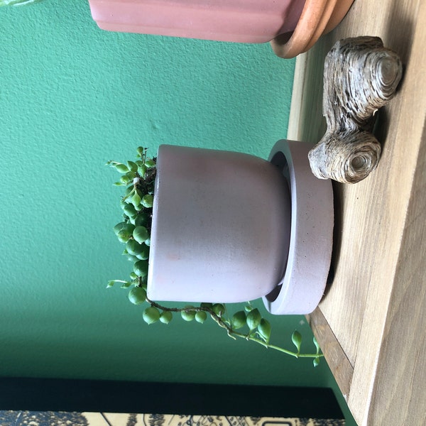 Large Tray Saucer | Minimalist Planter Pot Drip Tray Water Catcher ...