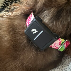 Fi Series 2 Collar Adapter - Etsy