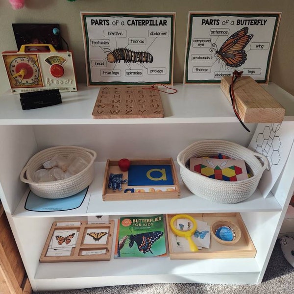 Butterfly Matching Cards: Montessori Nature Study (digital Download) - Etsy