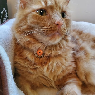 Cat Bell SOLID COLORS / Pet Collar Bells / Cat Collar Bell / Dog Bell ...