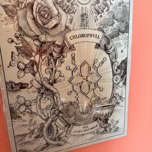 Thank You Card for Microbiology Professor, Chemistry, Biology, Science ...