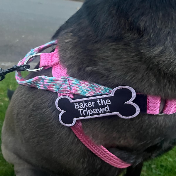 Kidney Disease Awareness Ribbon Iron on Patch Dialysis Kidney ...