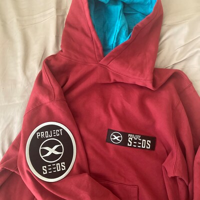 KDA All Out Akali Tiger Helmet HTV Face Mask made to Order - Etsy