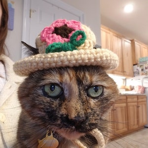 Pink Flower Summer Hat Cat Hats Cat Costumes Cat Accessories - Etsy